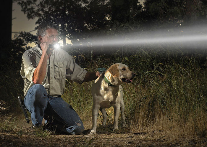 Torch Direct: Buy High-Quality LED Torches and Lighting – Torch Direct ...