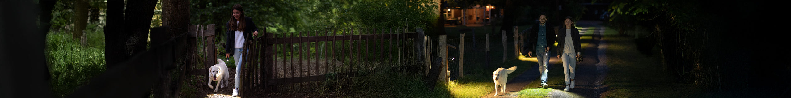 Dog Walking – Torch Direct